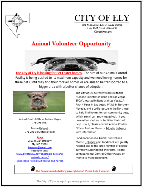 Adoptable Pets and Animal Control - City of Ely, Nevada